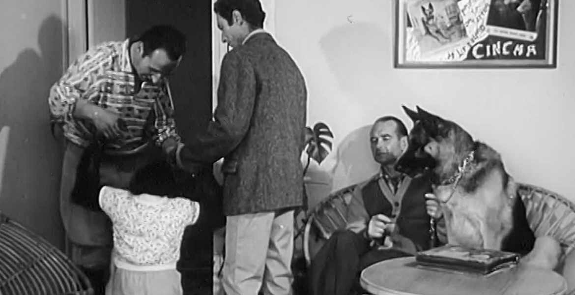 1959 : Palace Hôtel pour les vacances de vos animaux | INA