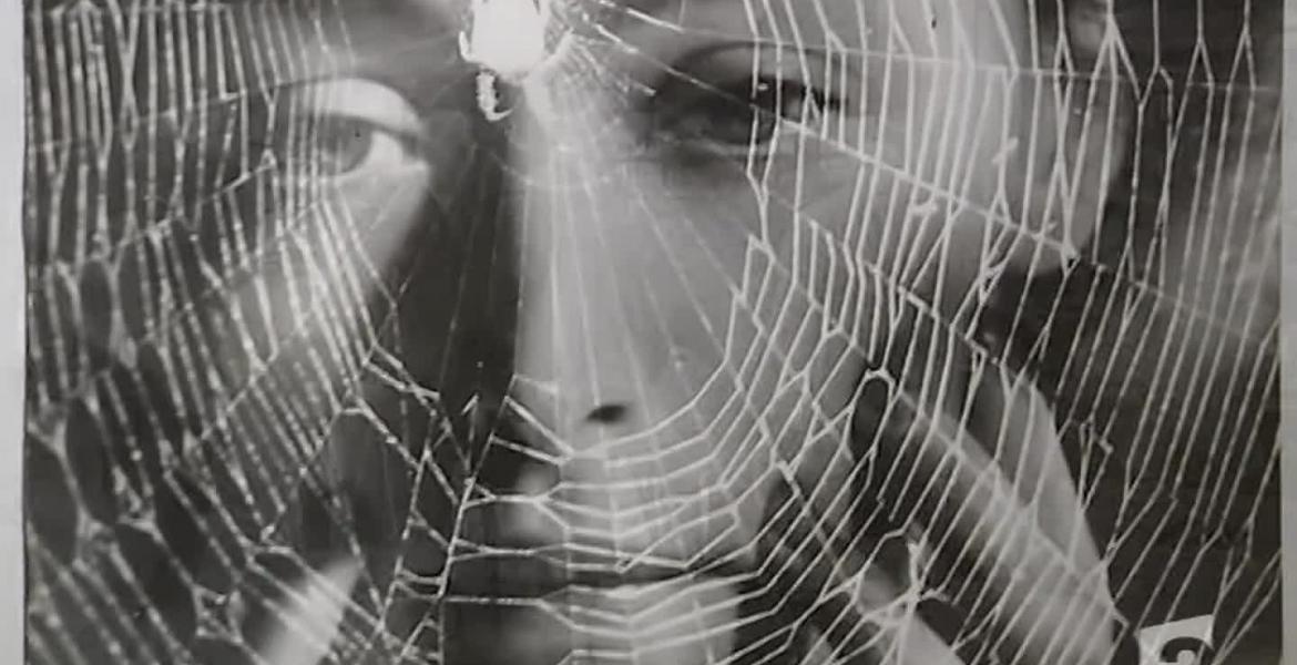 Dora Maar, photographe-peintre et muse de Picasso | INA
