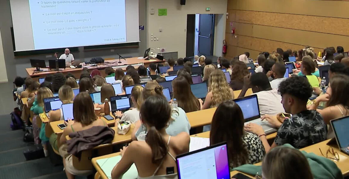 Master : 20 ans d'augmentation du nombre d'étudiants | INA