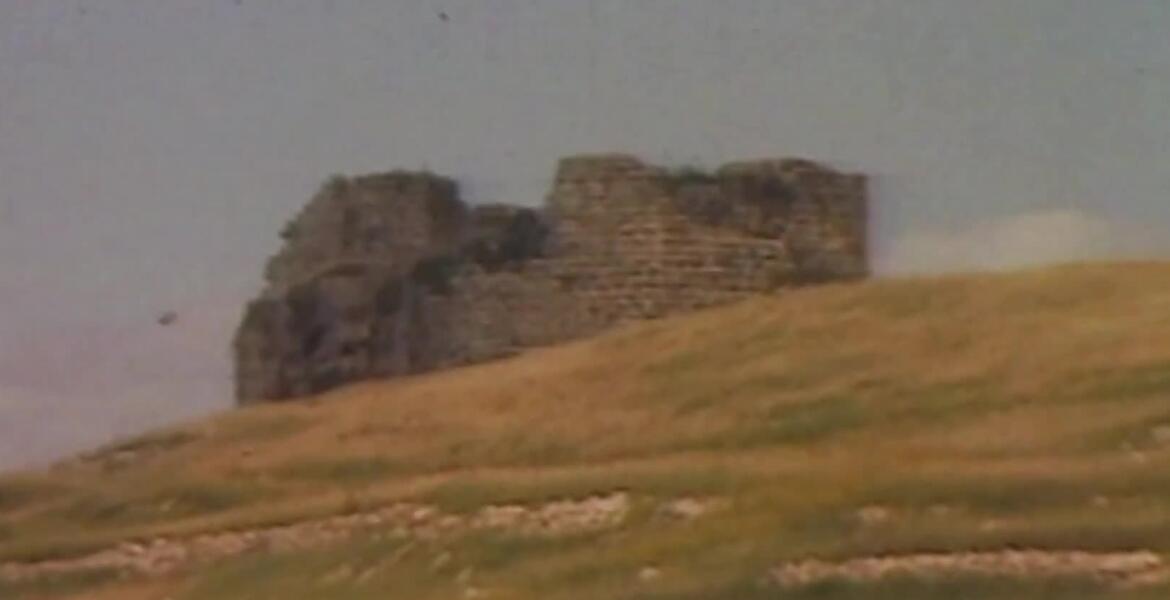 Liban : la première prise de la forteresse de Beaufort par Israël en ...