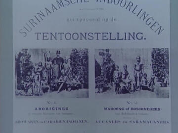 L’histoire des zoos humains, du début du XIXe à l’entre-deux-guerres | INA