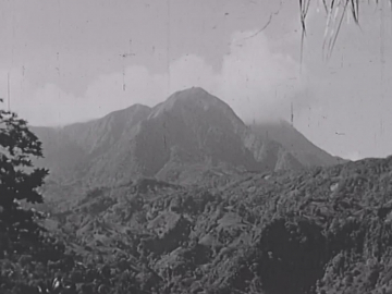 Martinique : le combat d’Aimé Césaire pour rendre le 22 mai férié | INA