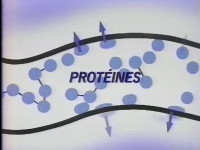 PAL PEDIGREE PAL SEC : ALIMENTATION CROQUETTE CHIEN | INA