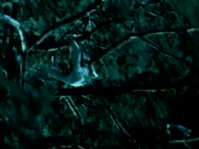 Vedior bis : Ornithologue | INA