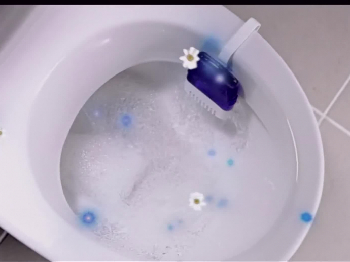 Canard wc : Fast forward | INA