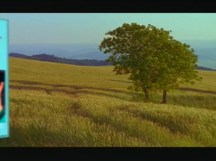 Etre et avoir vhs et dvd 2 version 11 secondes | INA