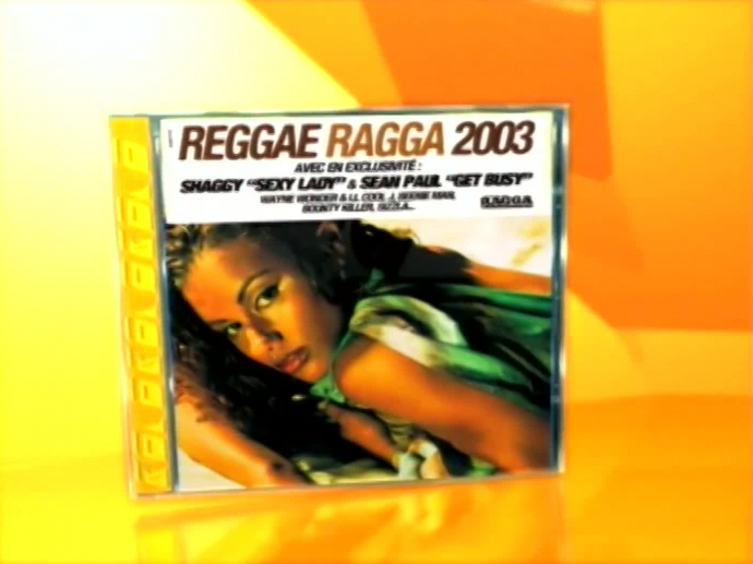 Reggae ragga : Version TF1 version 28 secondes | INA