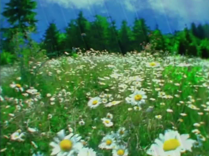 Le Fleurier : Fleur | INA