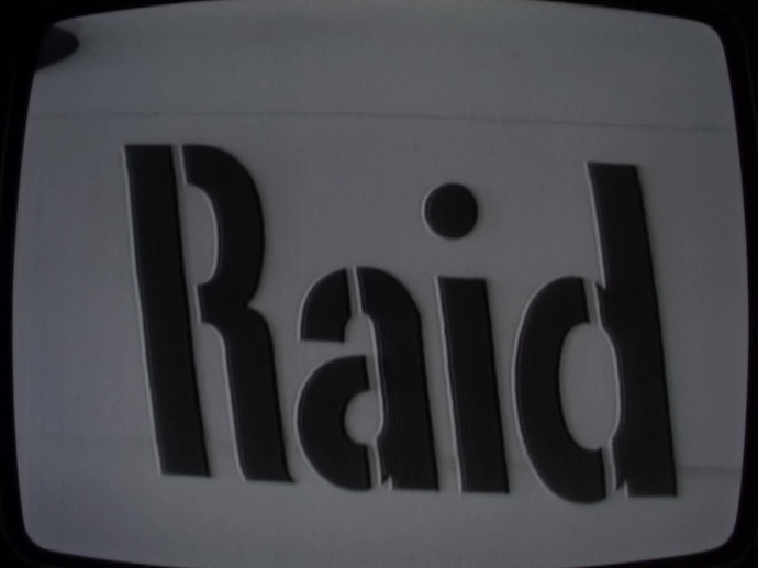 Raid de JOHNSON : Insecticide en bombe ou en plaquette | INA