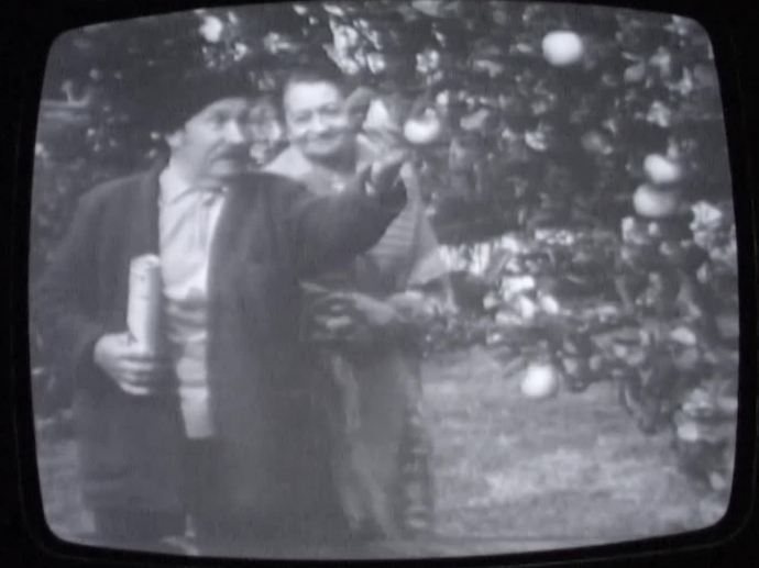 KEREX : gamme produits d'entretien jardins | INA