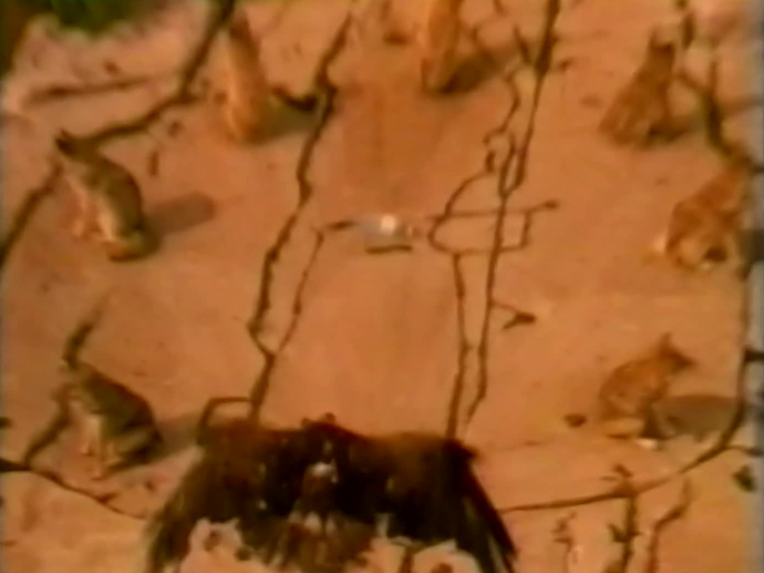 VALVERT : EAU MINERALE NATURELLE | INA