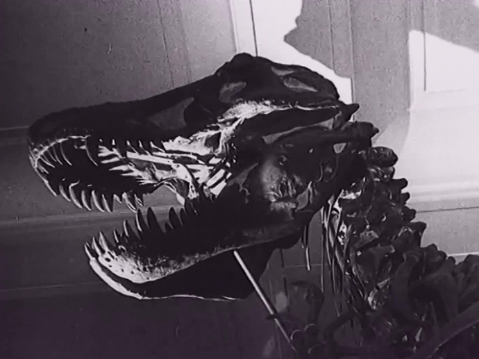 Linkin Park : version 44 secondes | INA