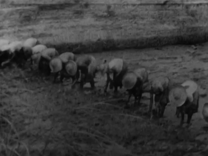 Arnis à Patling | INA