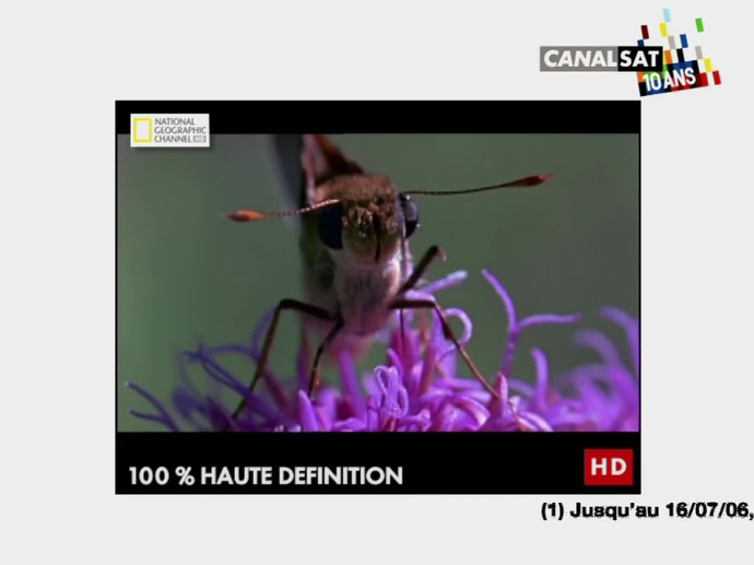 Canalsatéllite : Hit femme juin 06 Version 30 secondes | INA