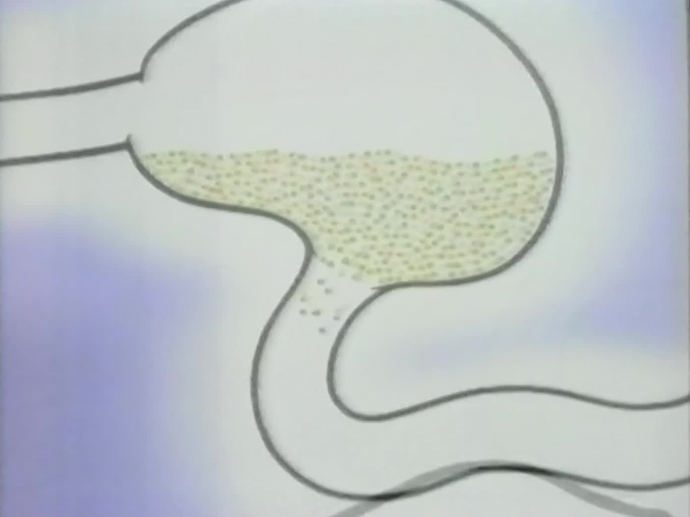 PAL PEDIGREE COMPLET : ALIMENT CROQUETTE CHIEN | INA