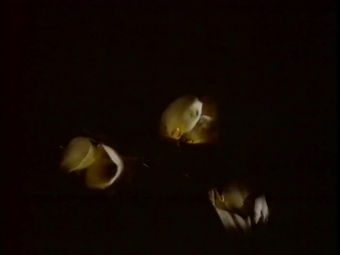 INTERFLORA : FLEURISTE LIVRAISON DE BOUQUETS DE FLEURS DANS TOUTE ...