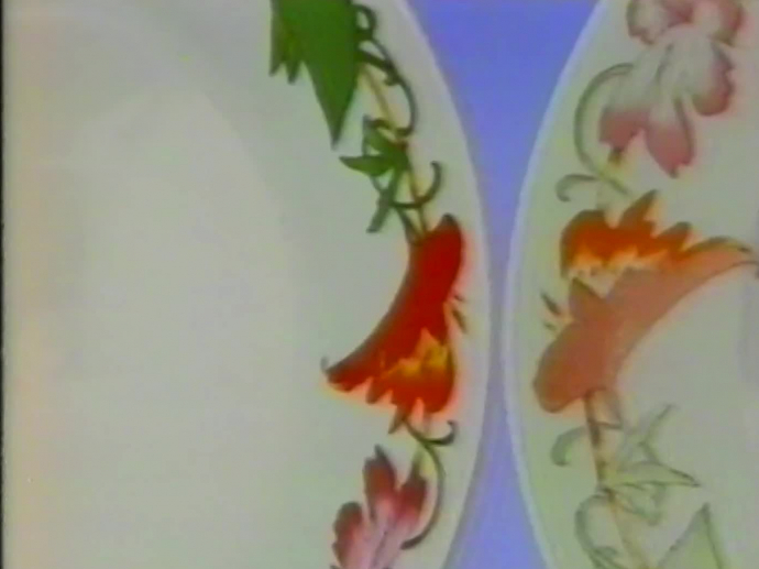 SUN PROGRESS MICRO : LESSIVE POUDRE VAISSELLE | INA