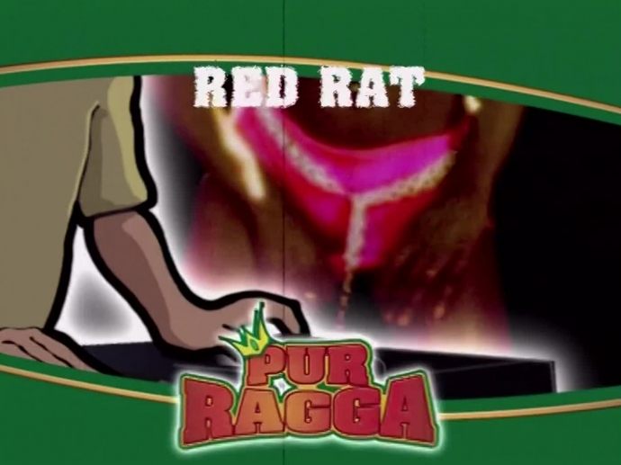 Pur ragga : version 29 secondes | INA