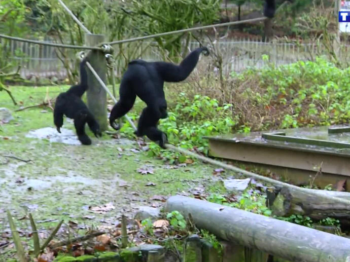 Le stage en entreprise des élèves de troisième | INA