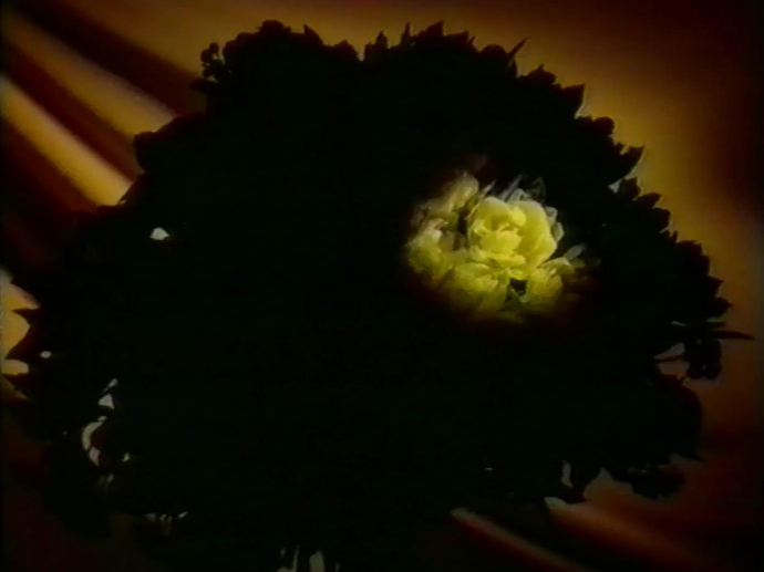 INTERFLORA : FLEURISTE LIVRAISON DE BOUQUETS DE FLEURS DANS TOUTE ...