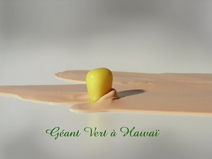 Géant Vert : Grain | INA