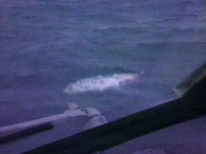 Pete Goss au secours de Raphaël Dinelli | INA