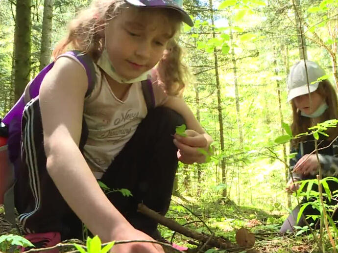 Fournet Luisans - les classes en forêt | INA