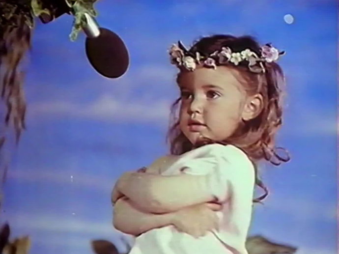 LOTUS : COTON HYDROPHILE | INA