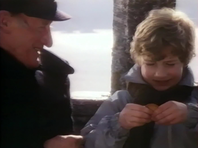 SAINT ST MICHEL : GALETTE/BISCUIT | INA