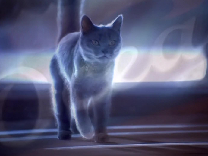 Sheba : Océan | INA