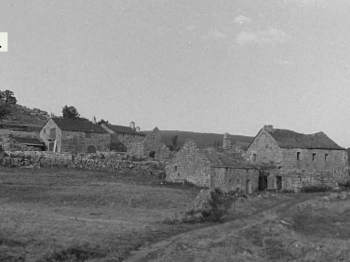 Agriculteurs au quotidien # L'exode rural | INA