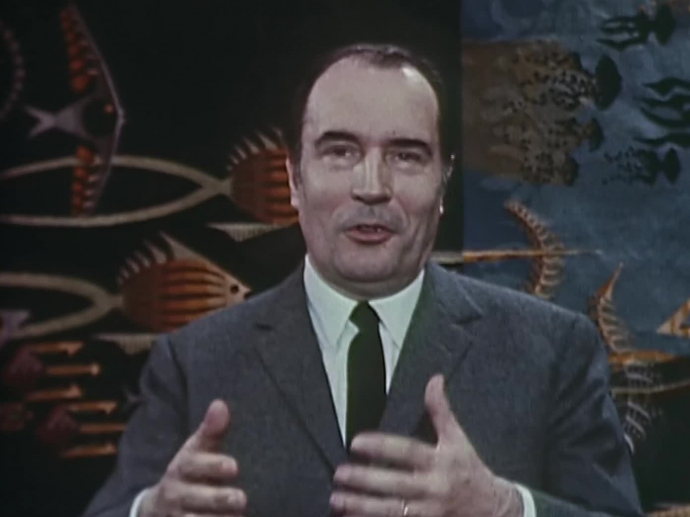 Débats loi anti casseurs à l'Assemblée nationale - Mitterrand-Sabatier ...