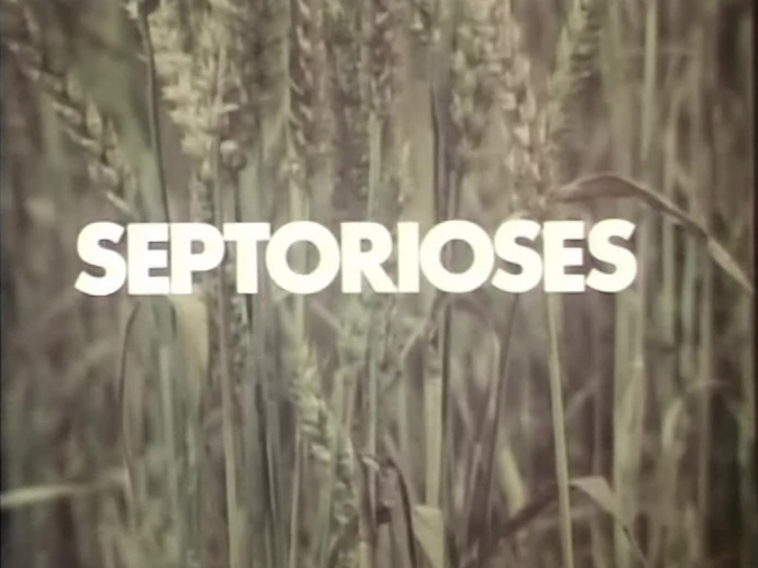 BAYLETON : Champ de blé | INA