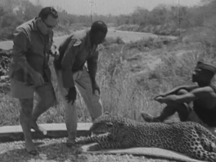 Safari : récit de la chasse à la panthère | INA