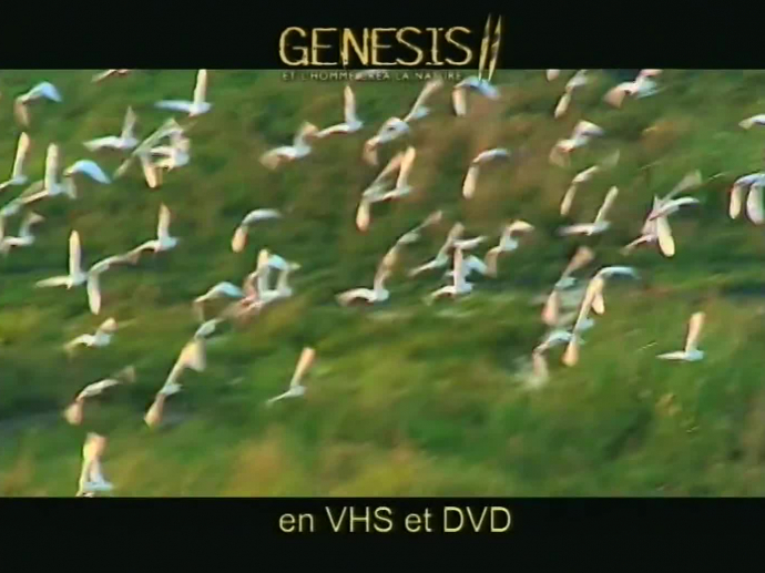 Genesis II : version 11 secondes | INA
