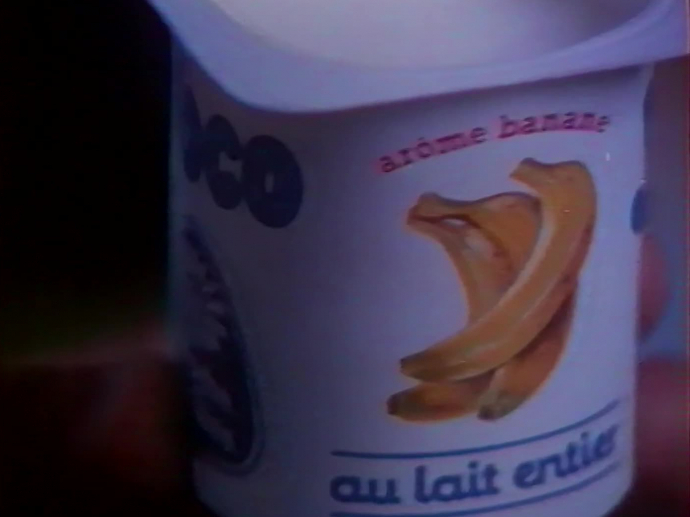 LA ROCHE AUX FEES / YOCO : YAOURT AROMATISE | INA