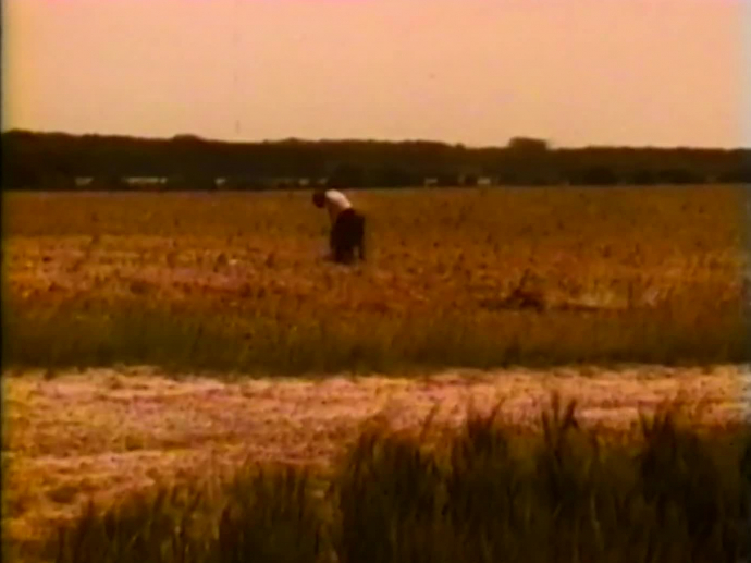 GINI : BOISSON GAZEUSE SODA | INA