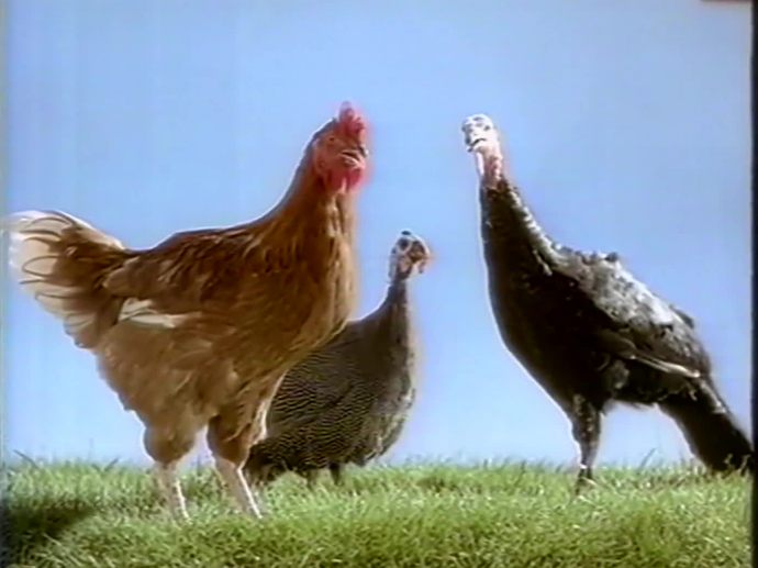 LABEL ROUGE : VOLAILLE POULET FERMIER | INA