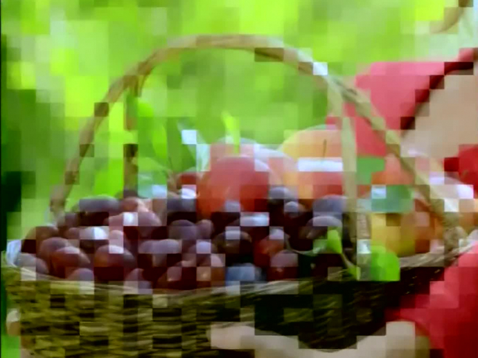 Gayelord Hauser : Tou'fruit | INA