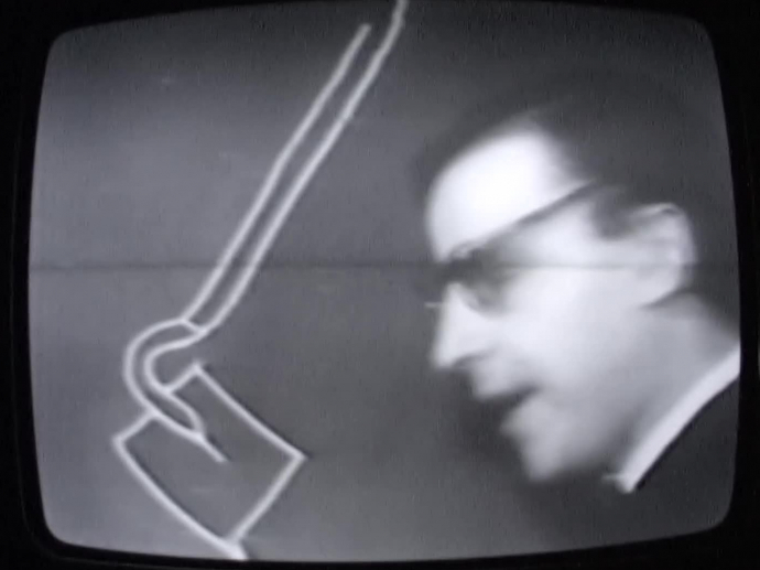 PYRAMINE : désherbant sélectif pour betteraves | INA