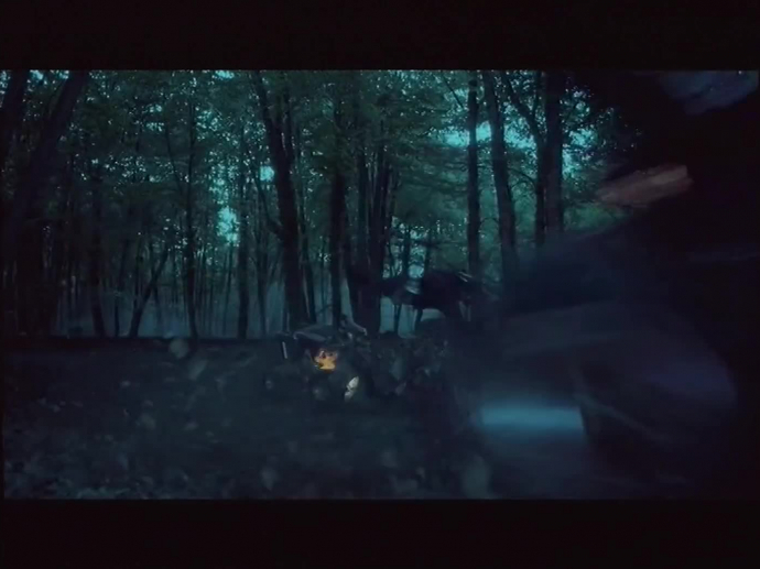 Lotus Festina : Brillante version 20 secondes | INA