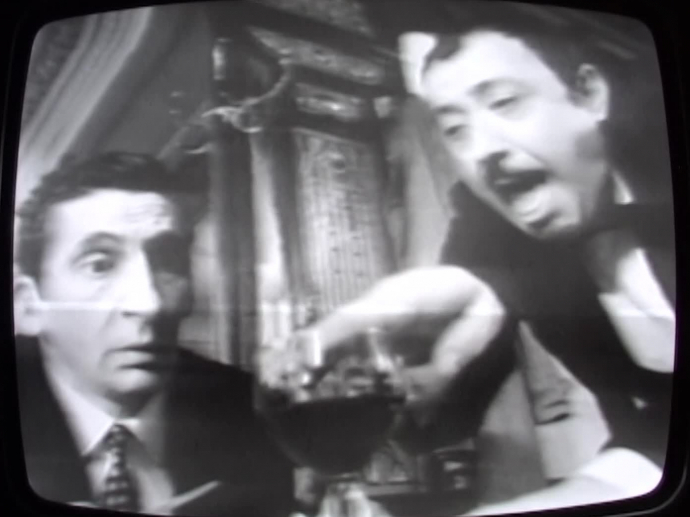 VAPONA : plaquette insecticide | INA