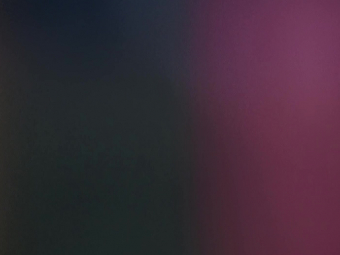 Marie Ndiaye : Autoportrait en vert | INA