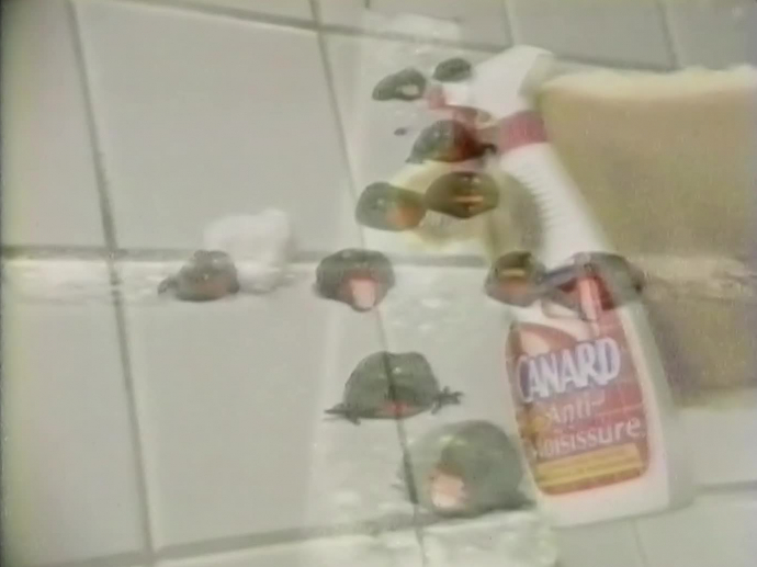 JOHNSON CANARD ANTI-MOISISSURE : PRODUIT D'ENTRETIEN | INA