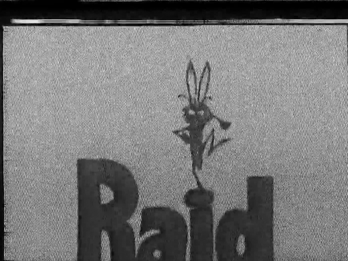 Johnson : Raid : insecticide | INA