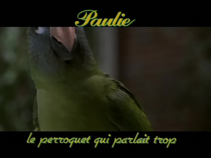 Paulie, le perroquet qui parlait trop : Perruche | INA