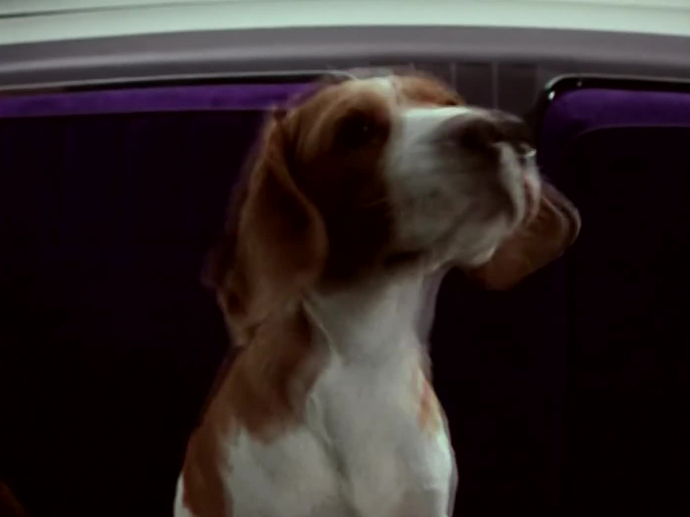 Inspecteur gadget version 15 secondes | INA