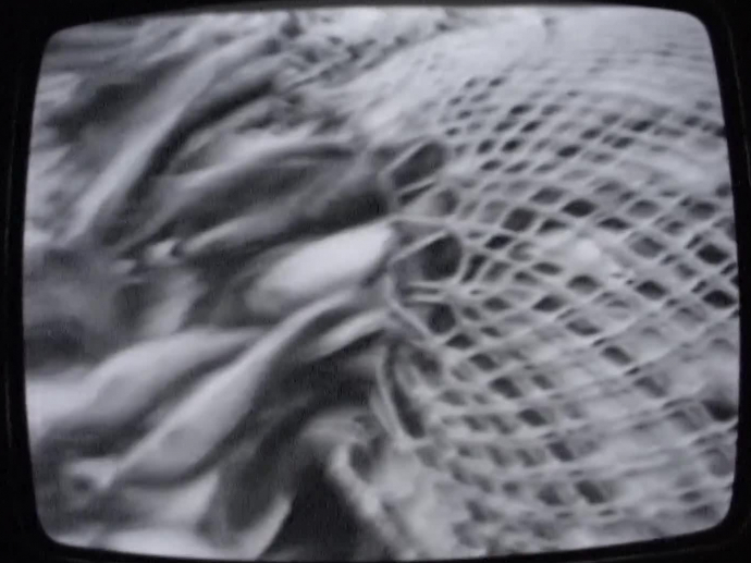 La morue : version 4 | INA