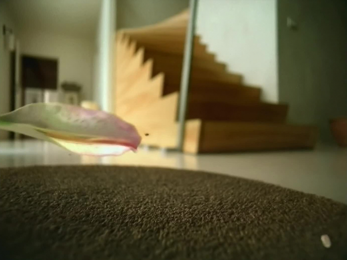 Rowenta infinium : Lys | INA