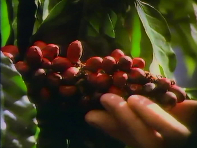 PACTE QUALITE PRIX JACQUES VABRE KRAFT JACOBS SUCHARD : CAFE GAMME ...